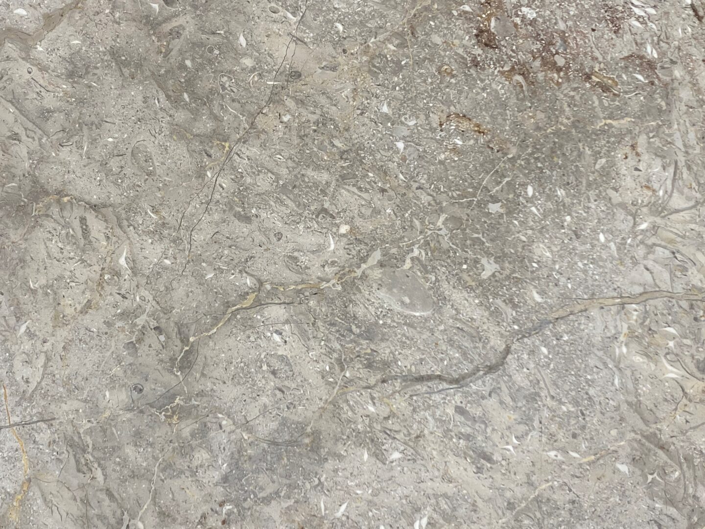 Marble Tiles, Pavers, Mosaics: Marble Plus